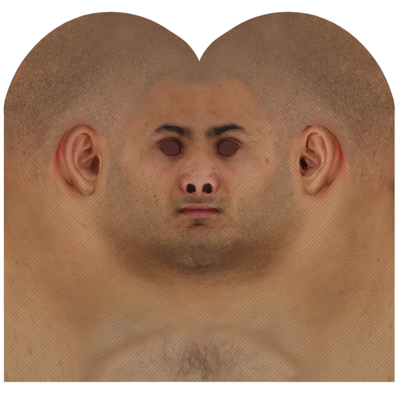 Male head texture map 12
